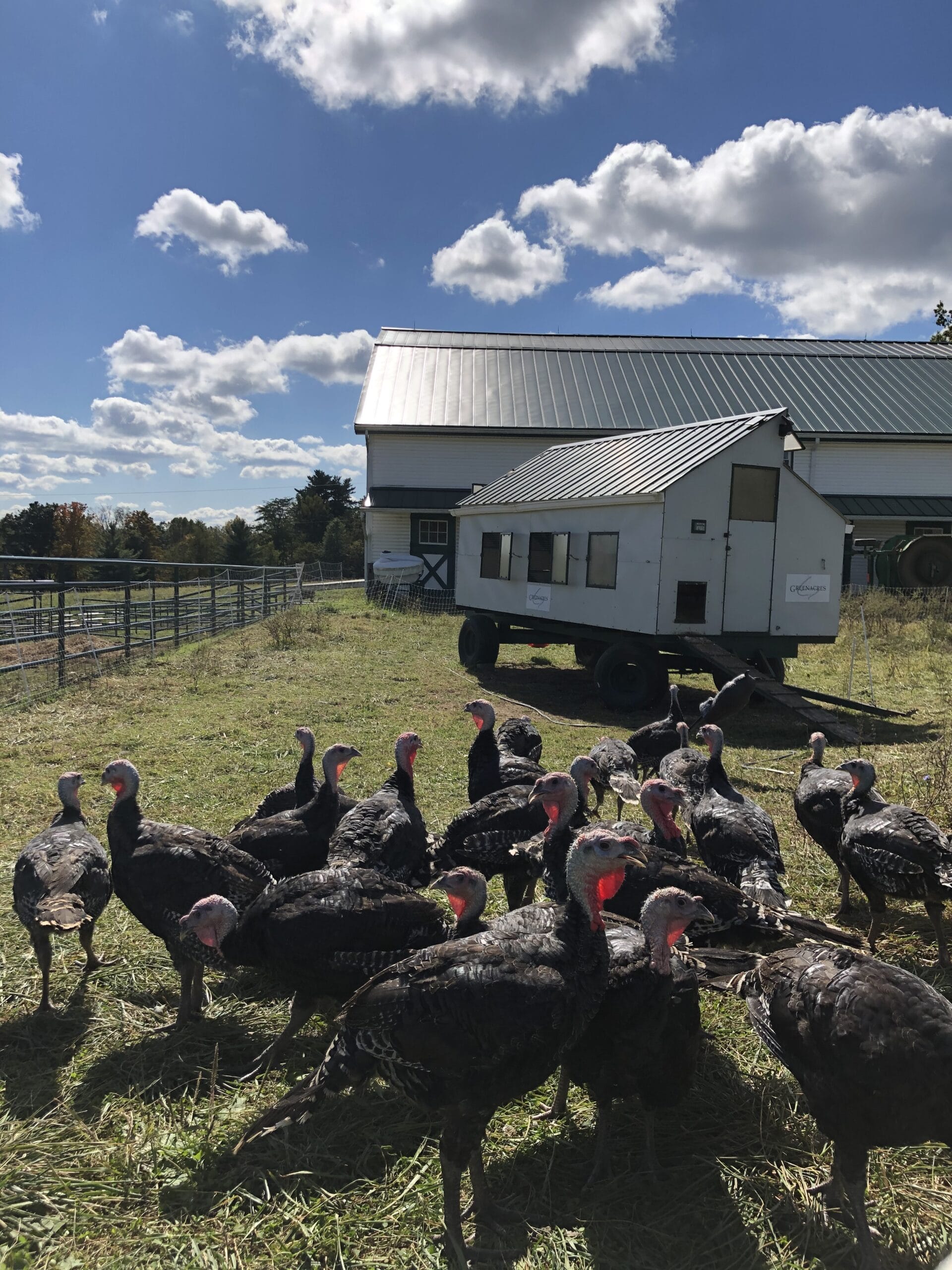 News - Greenacres Foundation